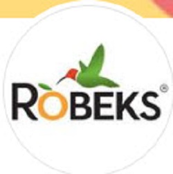 Robeks Smoothie Coupon